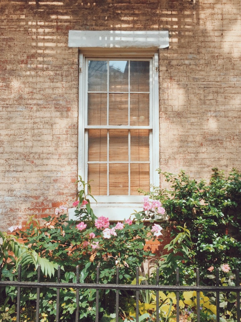 A Time Capsule Alleyway in Greenwich Village - New York on My Mind